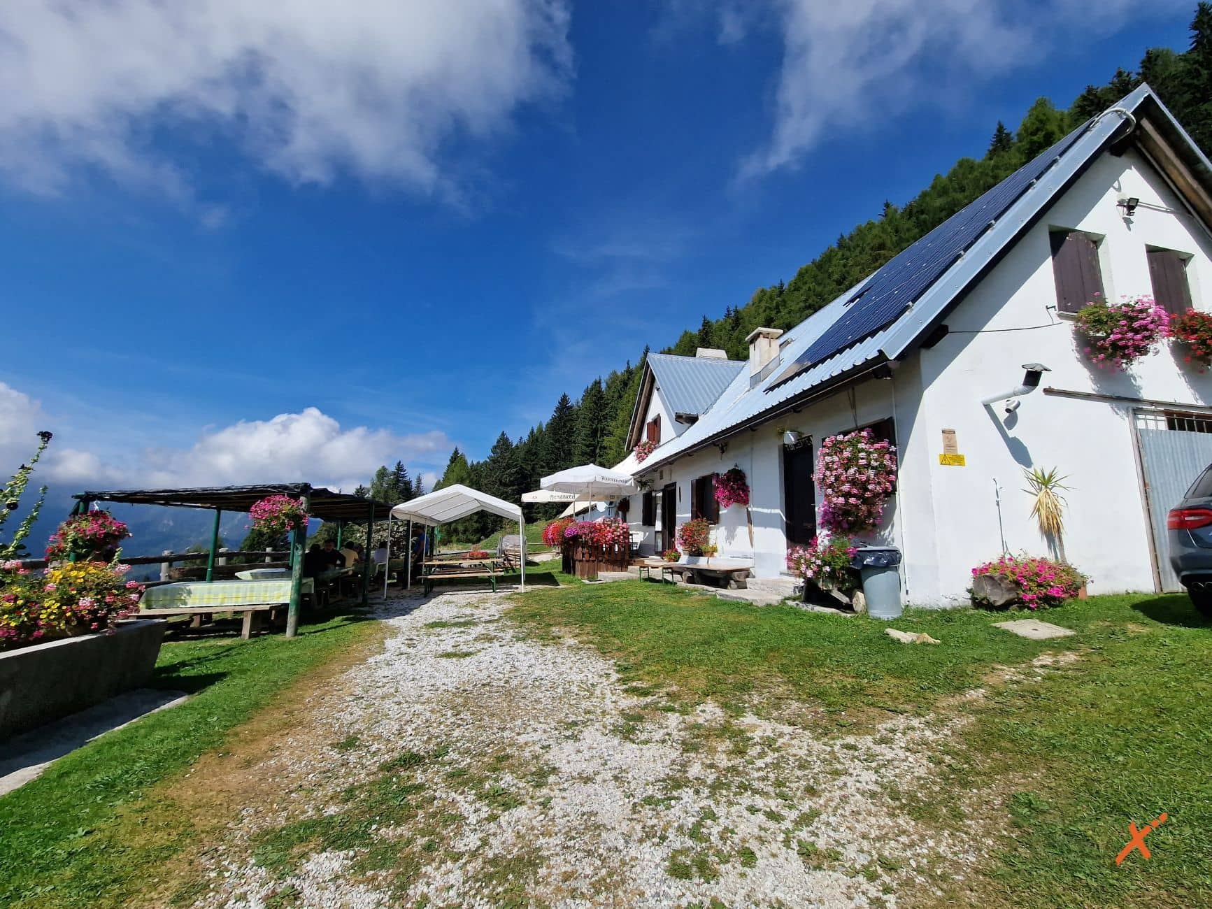 Malga Poccet: review of the place and how to get there - Explorer FVG