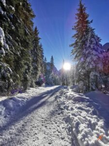 Sappada: tutte le informazioni sul borgo e dintorni - Explorer FVG