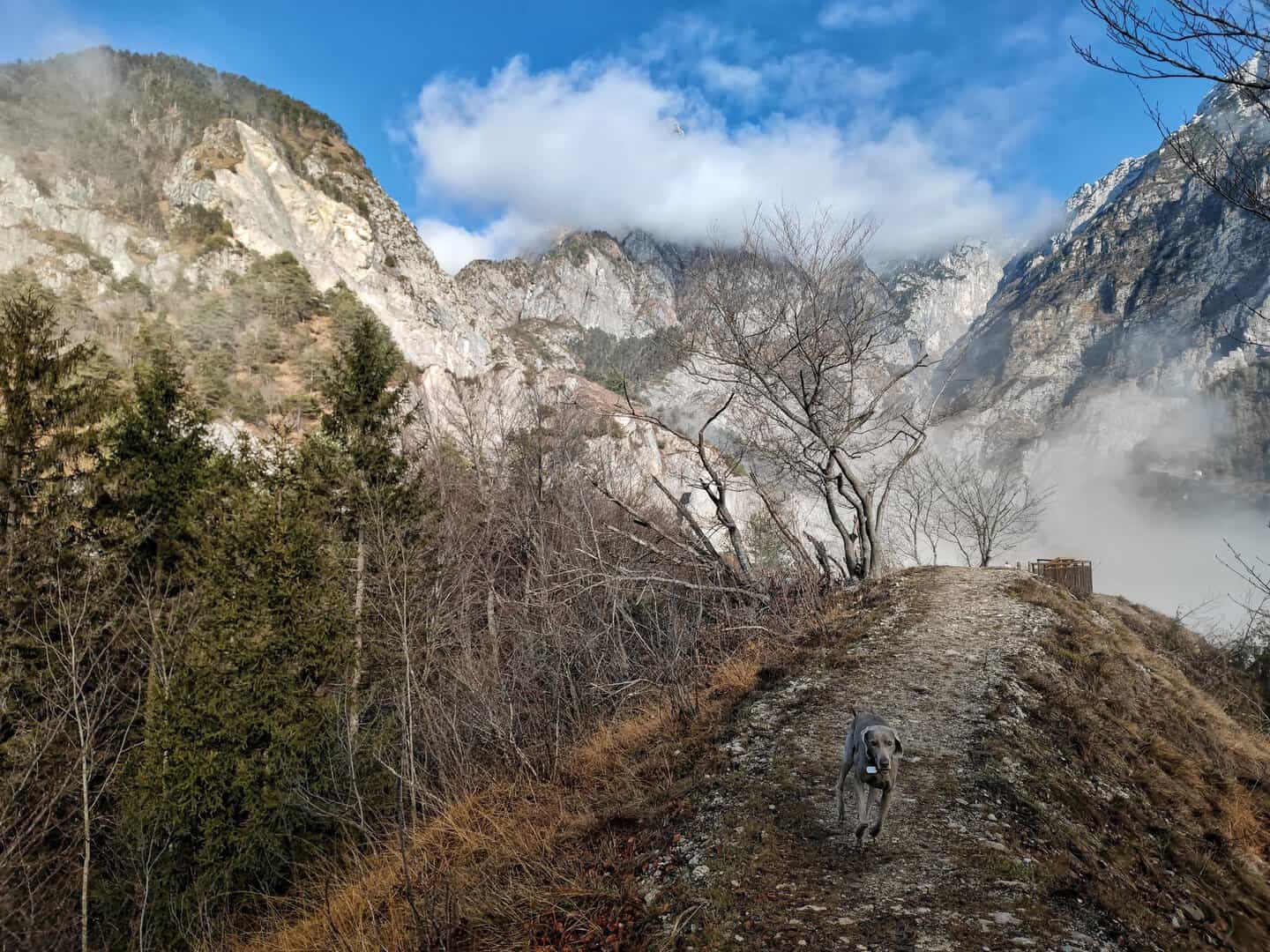 Escursione sul Sentiero Geologico Susaibes-Alba Ledron lungo la faglia ...