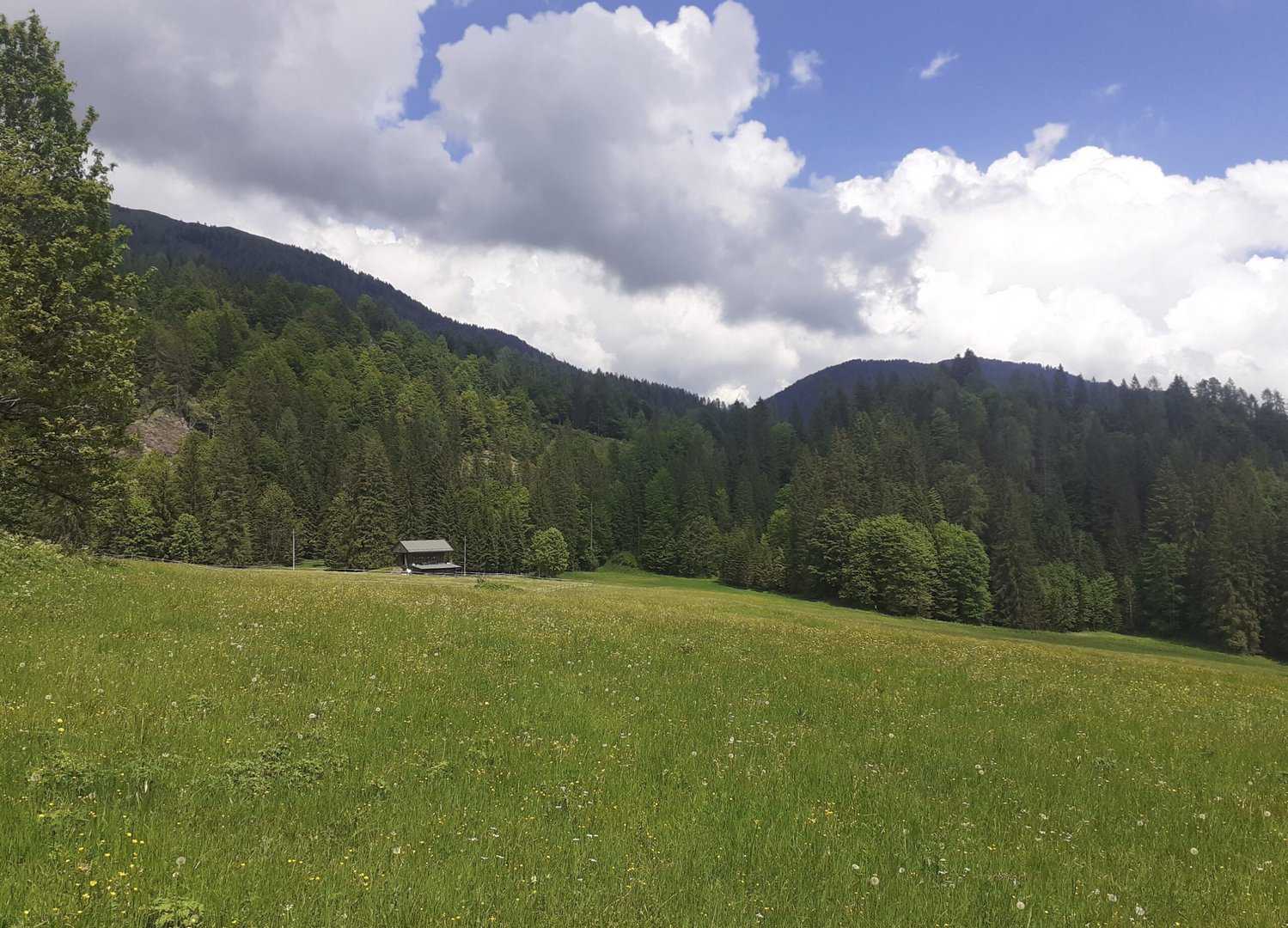 Walk through the woods of Sauris with tasting of local cold cuts and ...