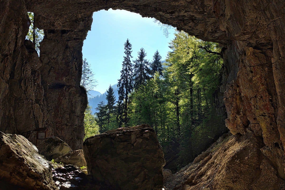 Escursione nella magica natura dell'alta Val Cellina, fra landre e ...