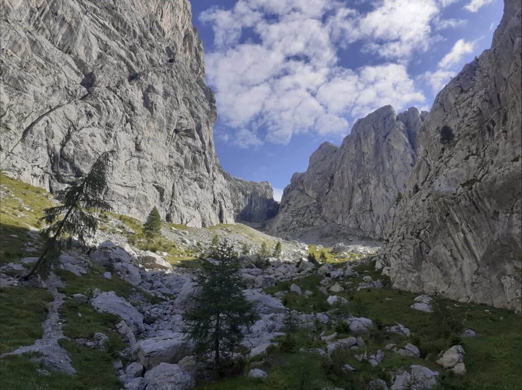 Escursione guidata sulla cima del Monte Avanza a 2481 m s.l.m ...
