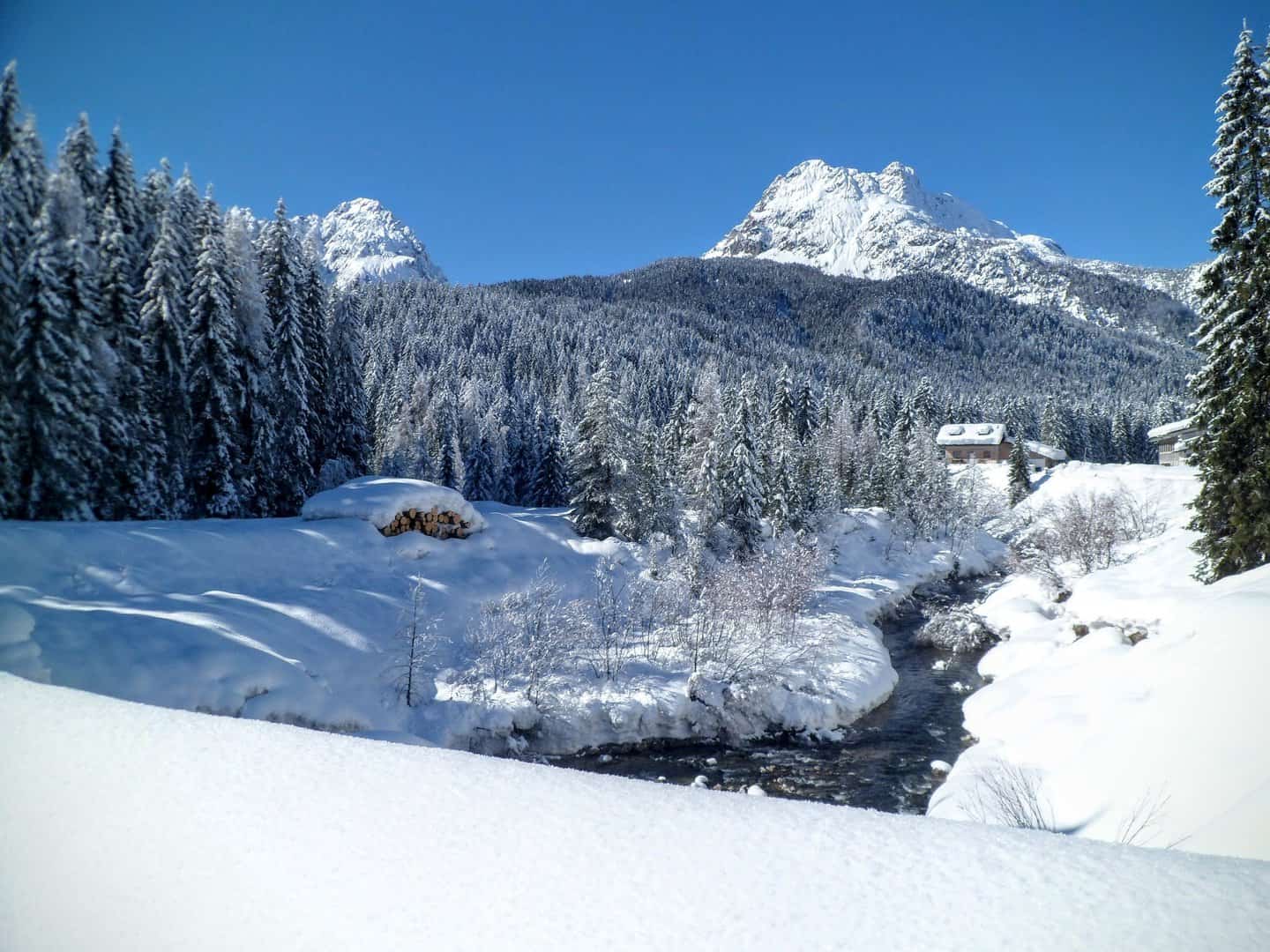 Facile escursione guidata ad anello al passo della Digola da Sappada ...