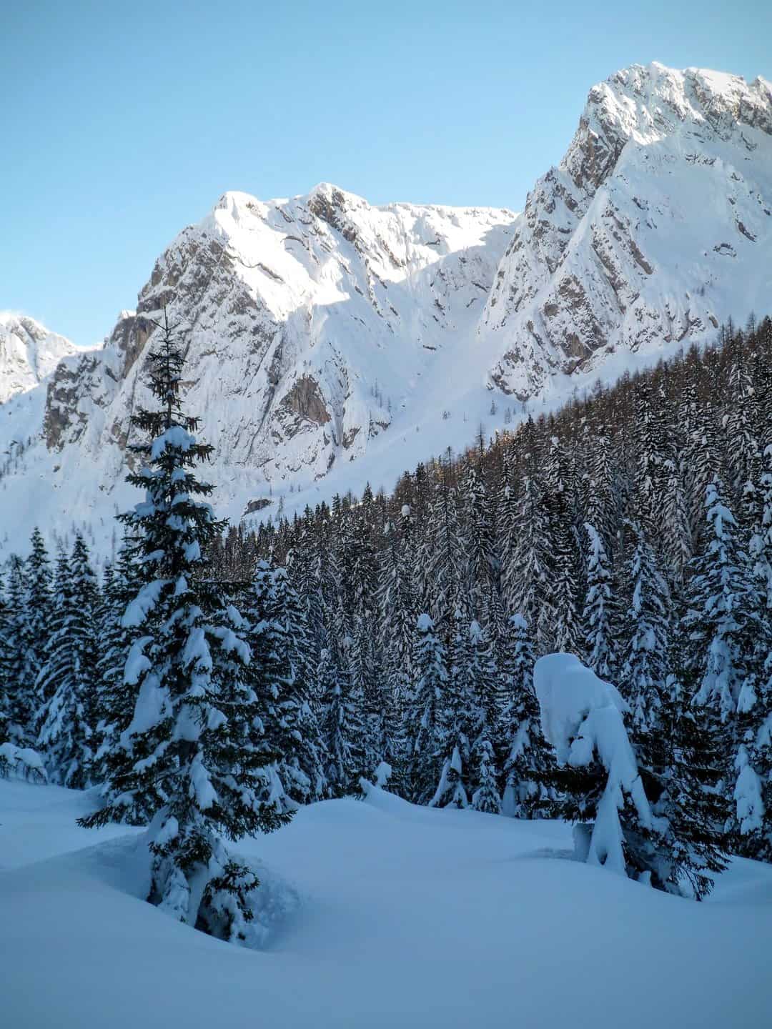 Facile escursione guidata ad anello al passo della Digola da Sappada ...