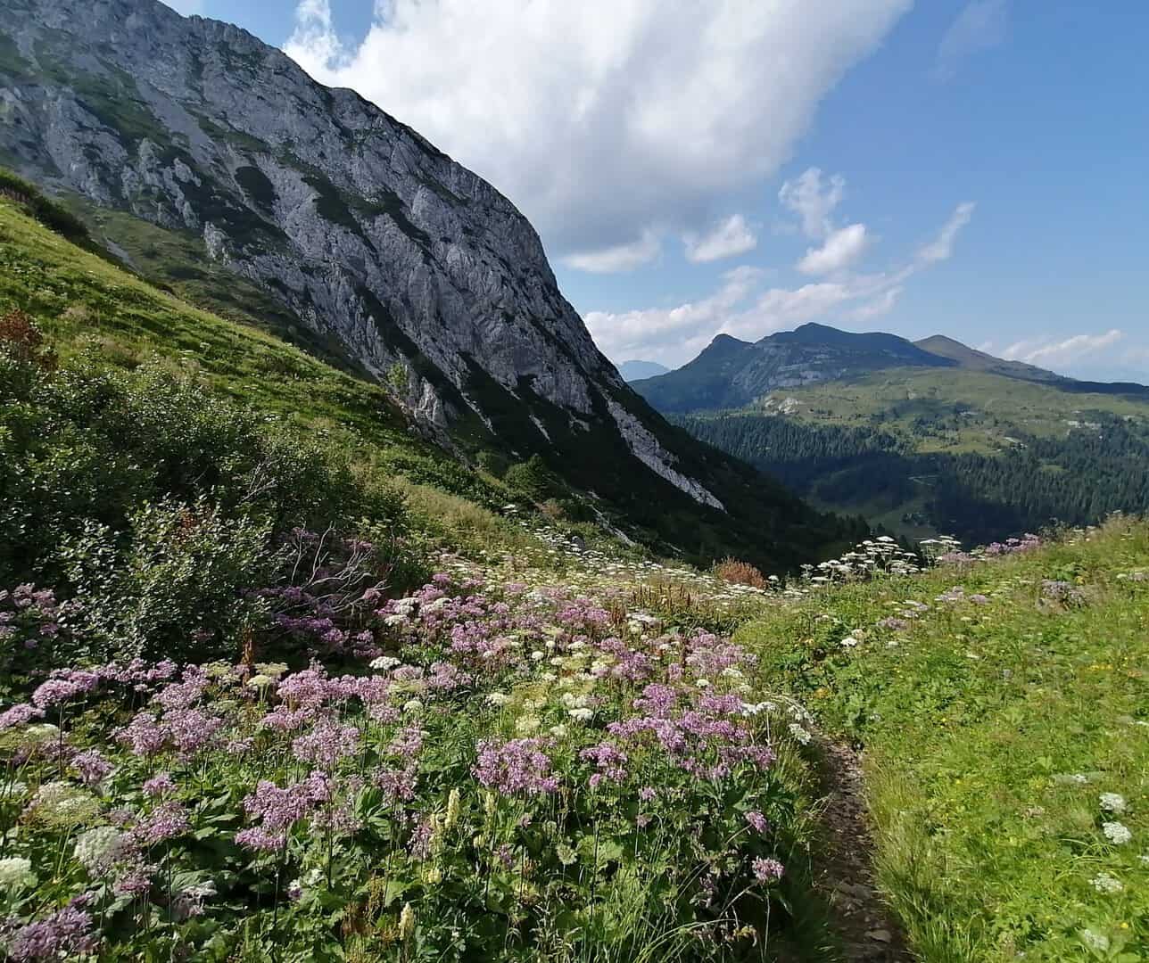Trekking al monte Zermula tra panorami, storia e natura - Explorer FVG